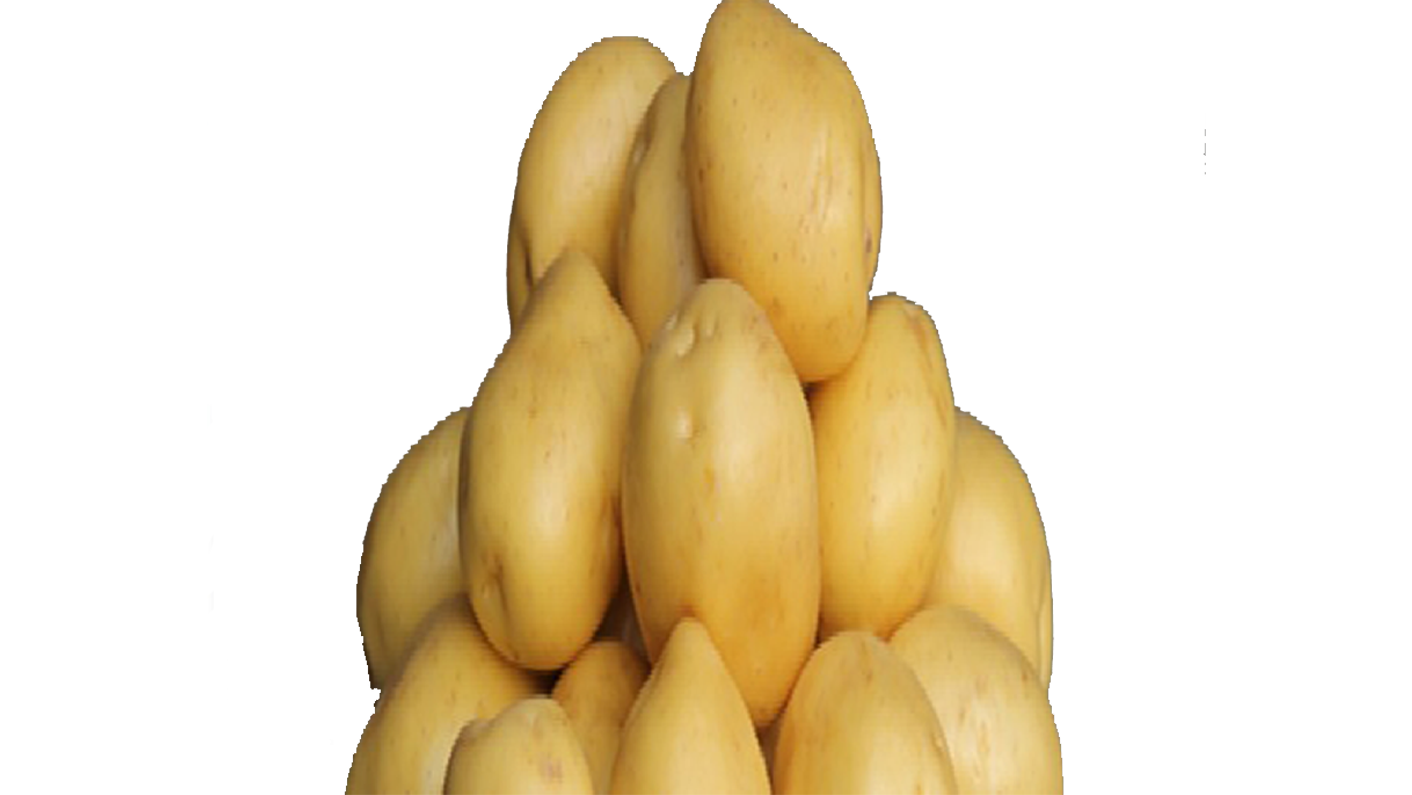 Pakistan Potatoes - International Food & Agriculture Exhibition