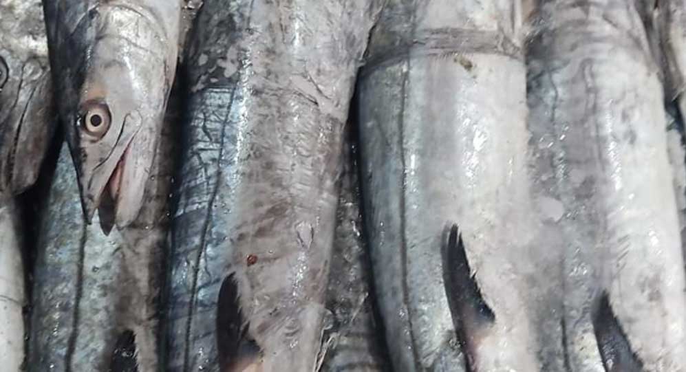 Pakistan Seafood - International Food & Agriculture Exhibition