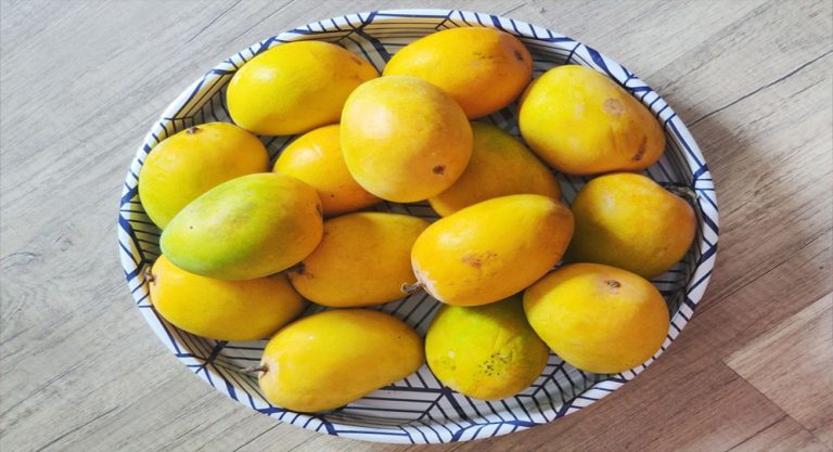 Pakistan Mangoes - International Food & Agriculture Exhibition
