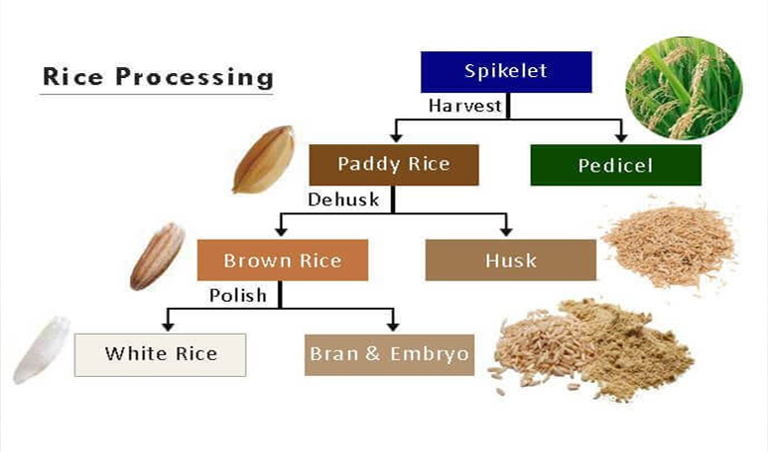 Pakistan Rice - International Food & Agriculture Exhibition
